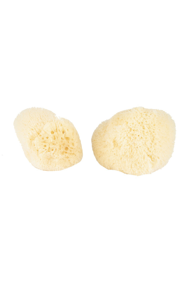 Silk Sponge Set – SF Siren